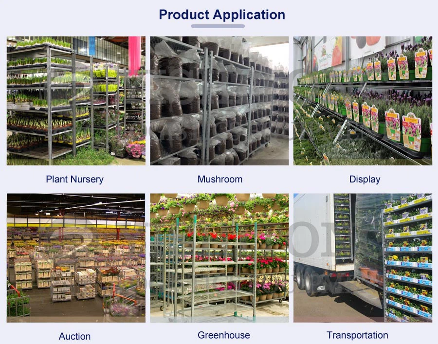 China Maßgeschneiderte CC-Container-Pflanzenwagen Lieferanten ...